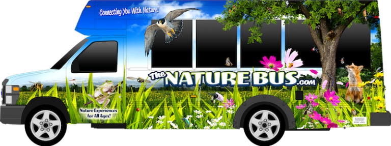 The Nature Bus